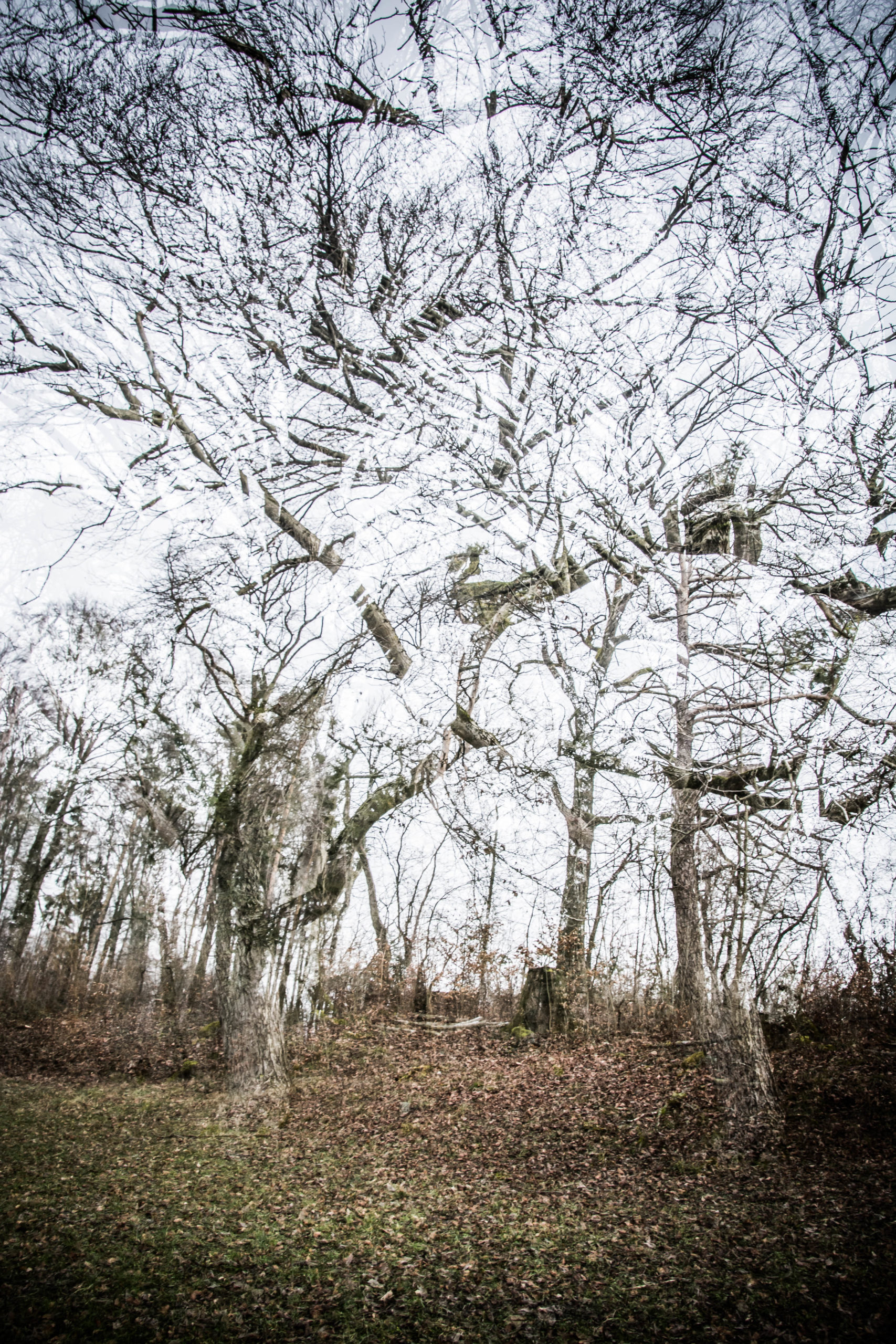 Landschaften - Michael Stutz