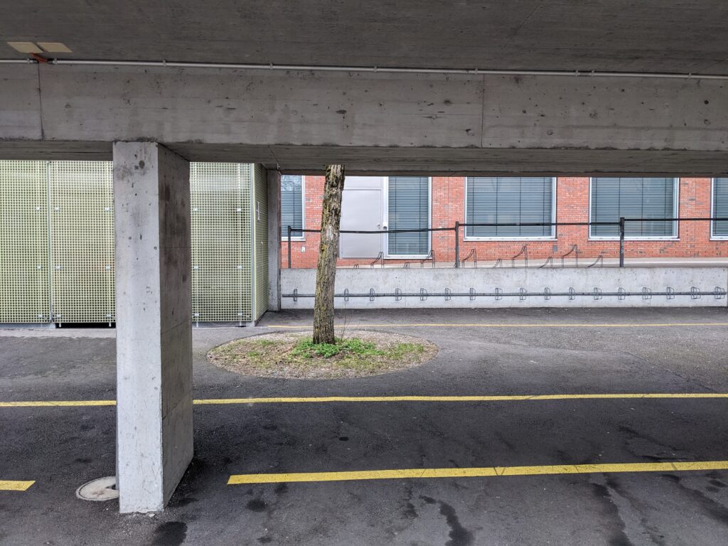 Baum zwischen Beton - Michael Stutz